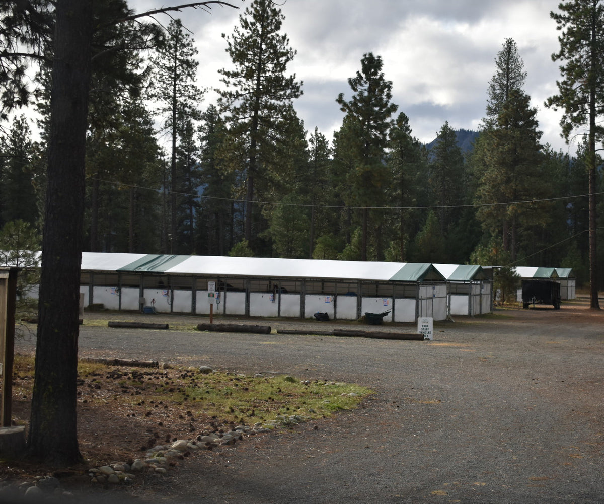 Stall Reservation (EI Spring Adult Camp 2025)– Washington State Horse Park