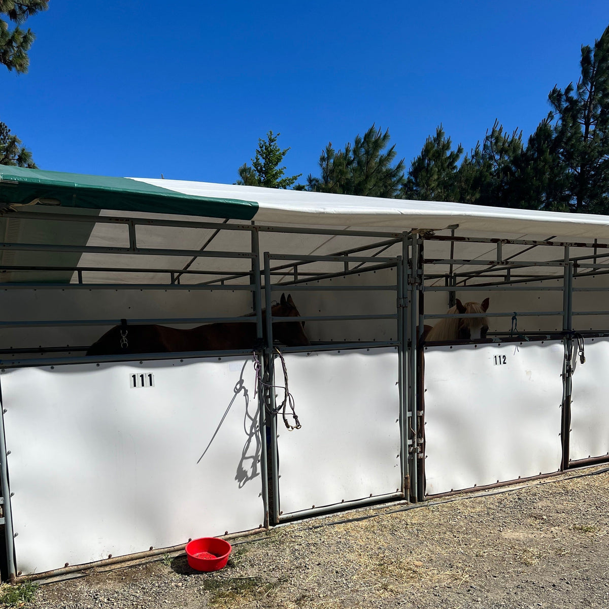 Day Holding Stall (EI Spring Adult Camp 2025)– Washington State Horse Park