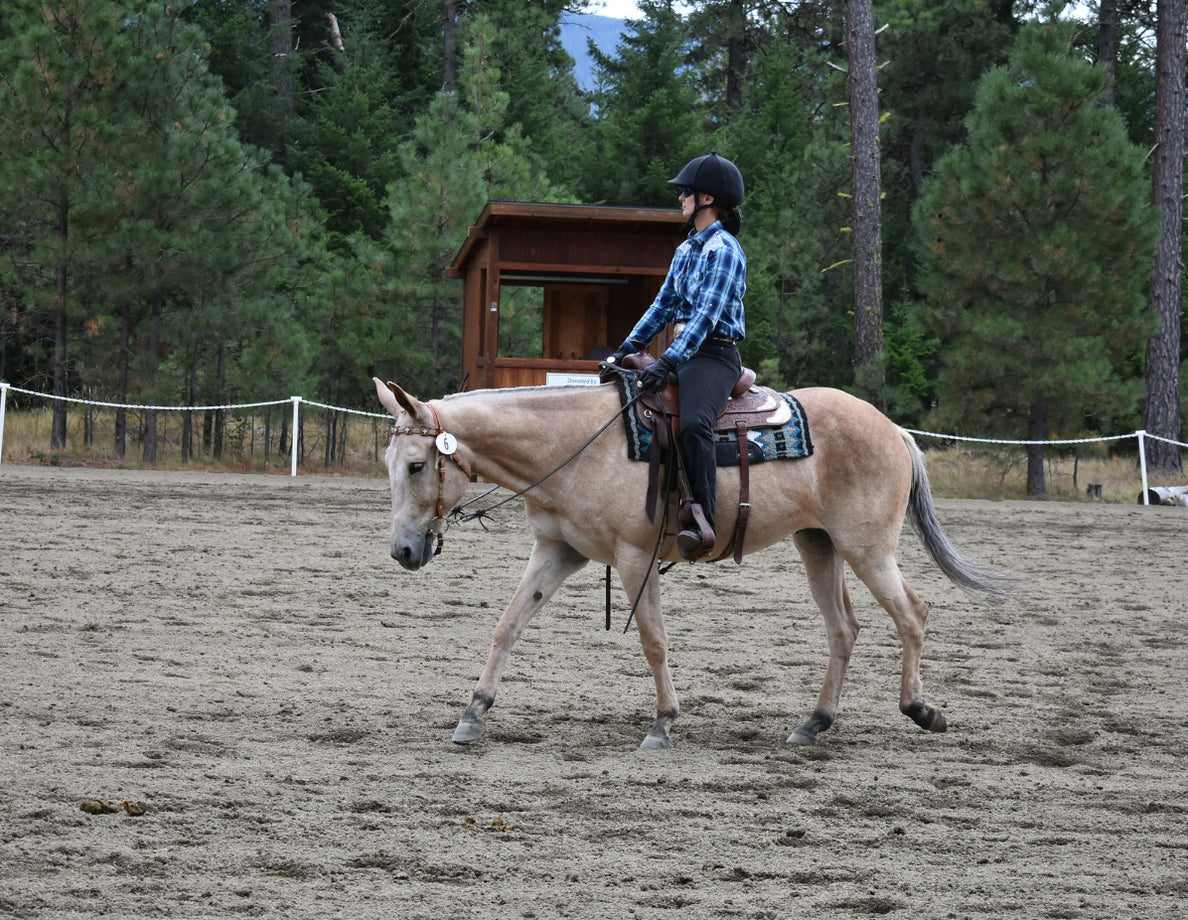 Trail & Arena Use– Washington State Horse Park