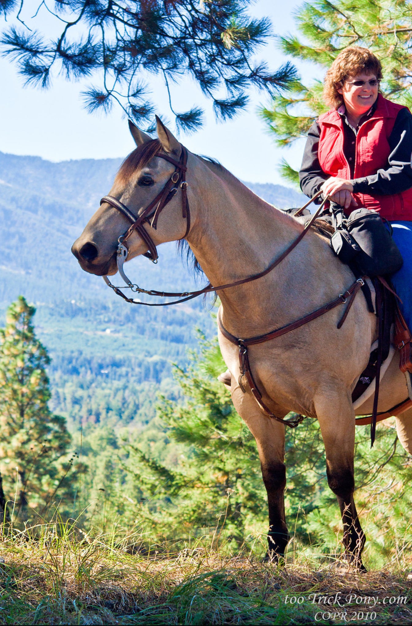 Recreational Users Facility Use & Reservations– Washington State Horse Park